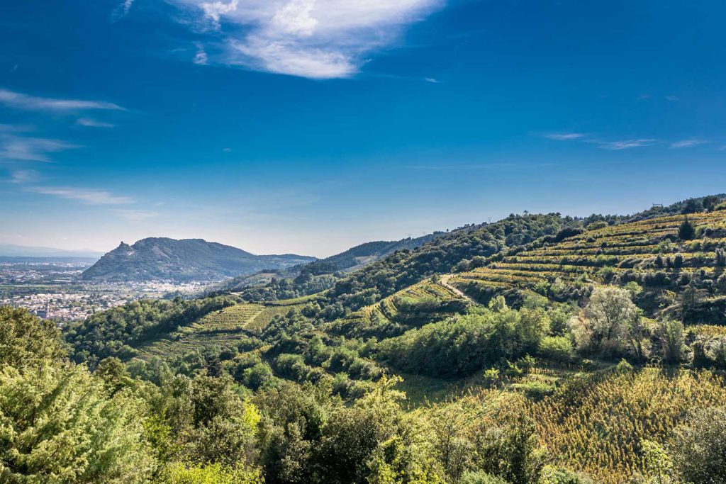 First-Taste Guide to Saint-Péray Blanc | French Wine | Opening a Bottle