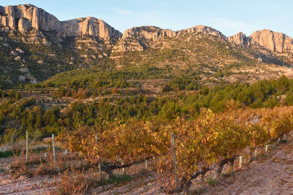 First-Taste Guide to Priorat – Spanish Wine – Opening a Bottle