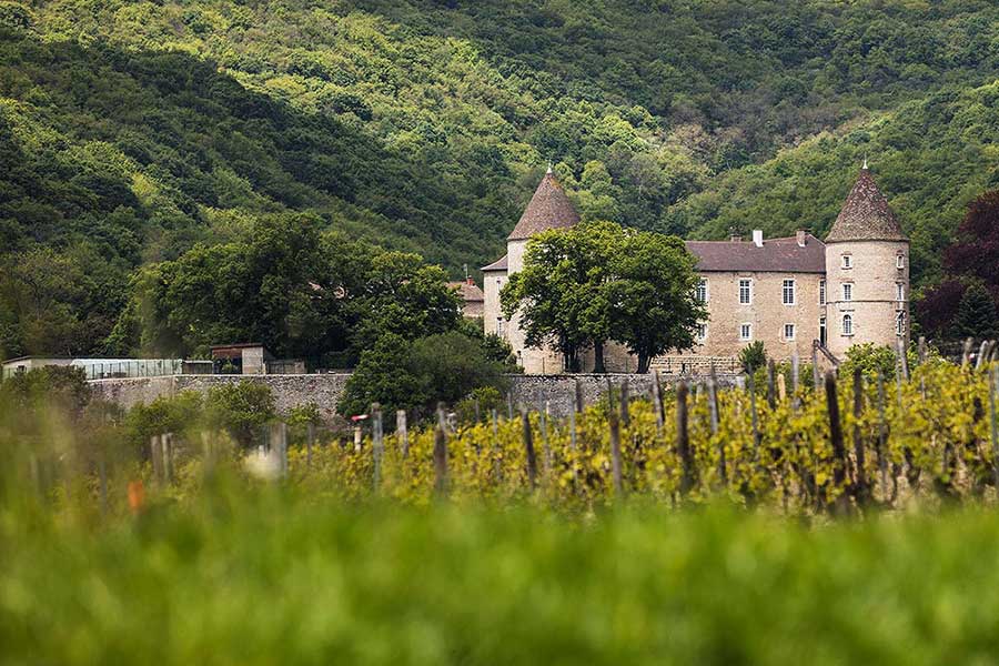 Guillot-Broux | Essential Winemakers of France | Opening a Bottle