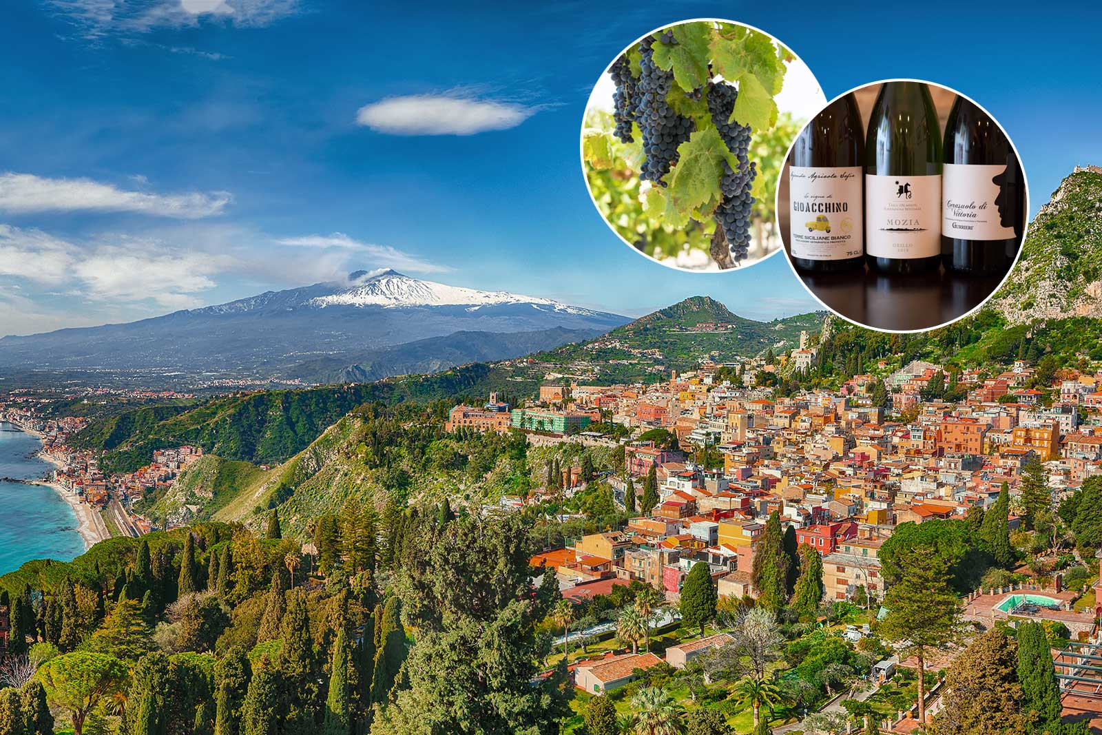 Study Guide: Circumnavigating Sicilian Wine – Study Guide - Opening a ...